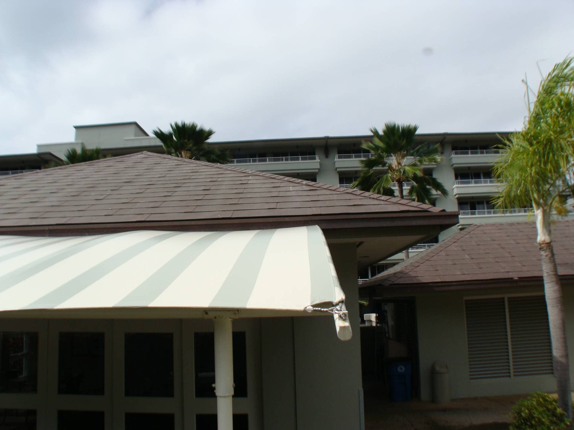 Kalele Kai | Tropical J's