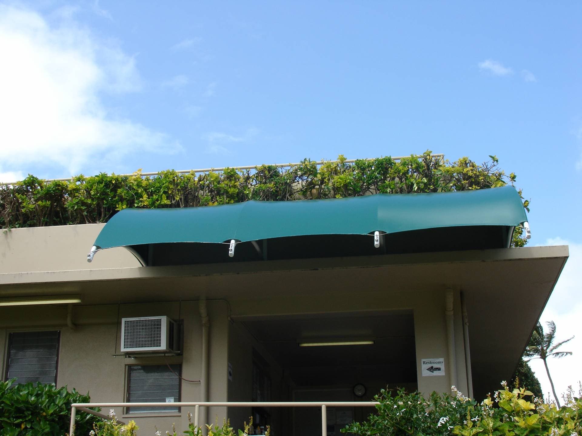 Mid Pac Country Club | Tropical J's