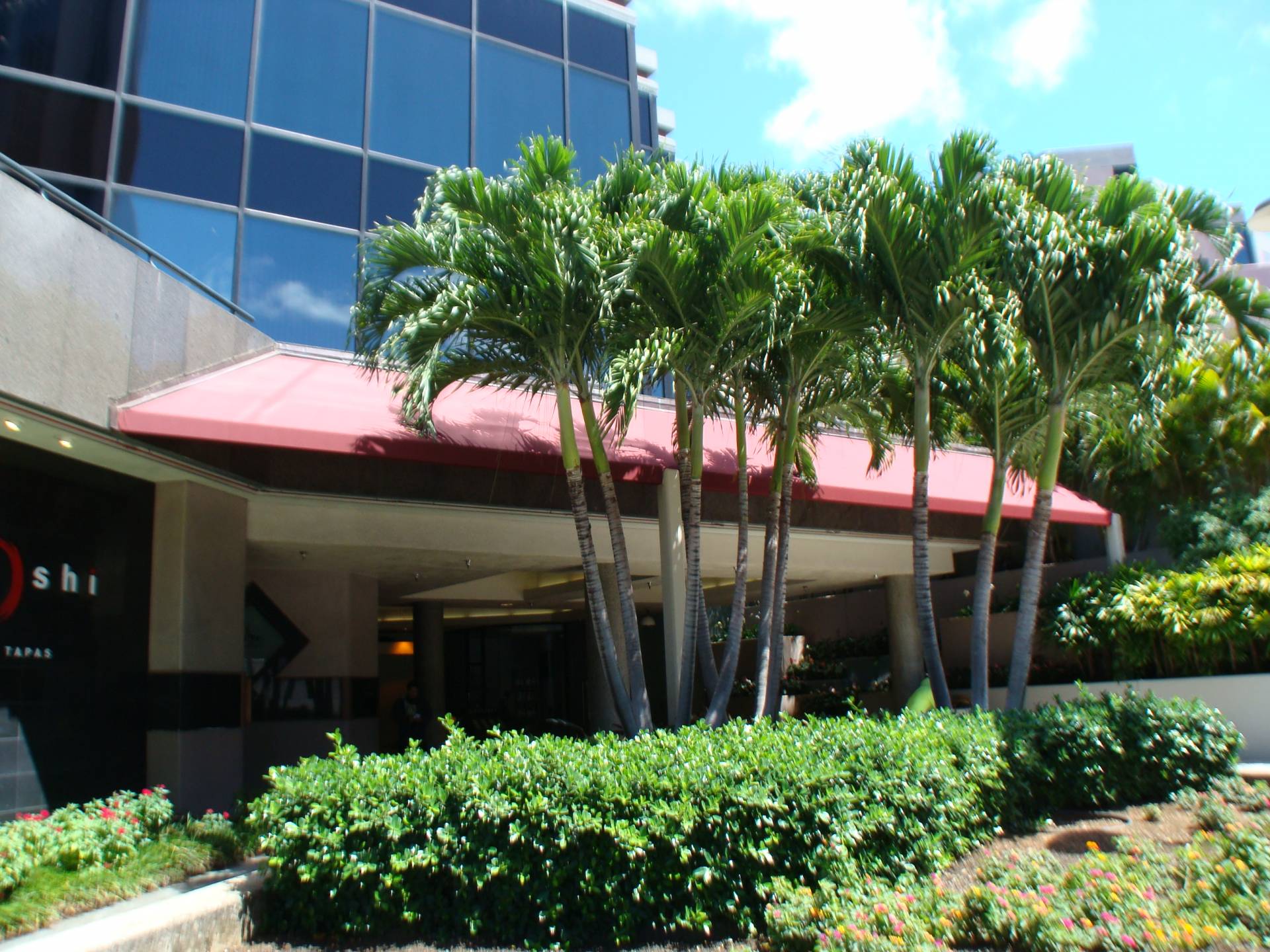 Restaurant Row – Tropical J's