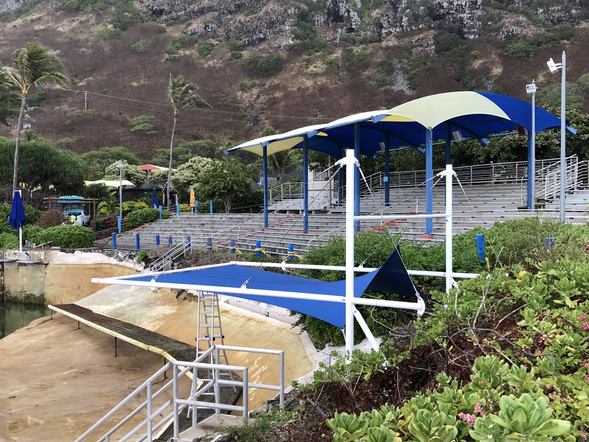 Sea Life Park Colosseum Shade – Tropical J's